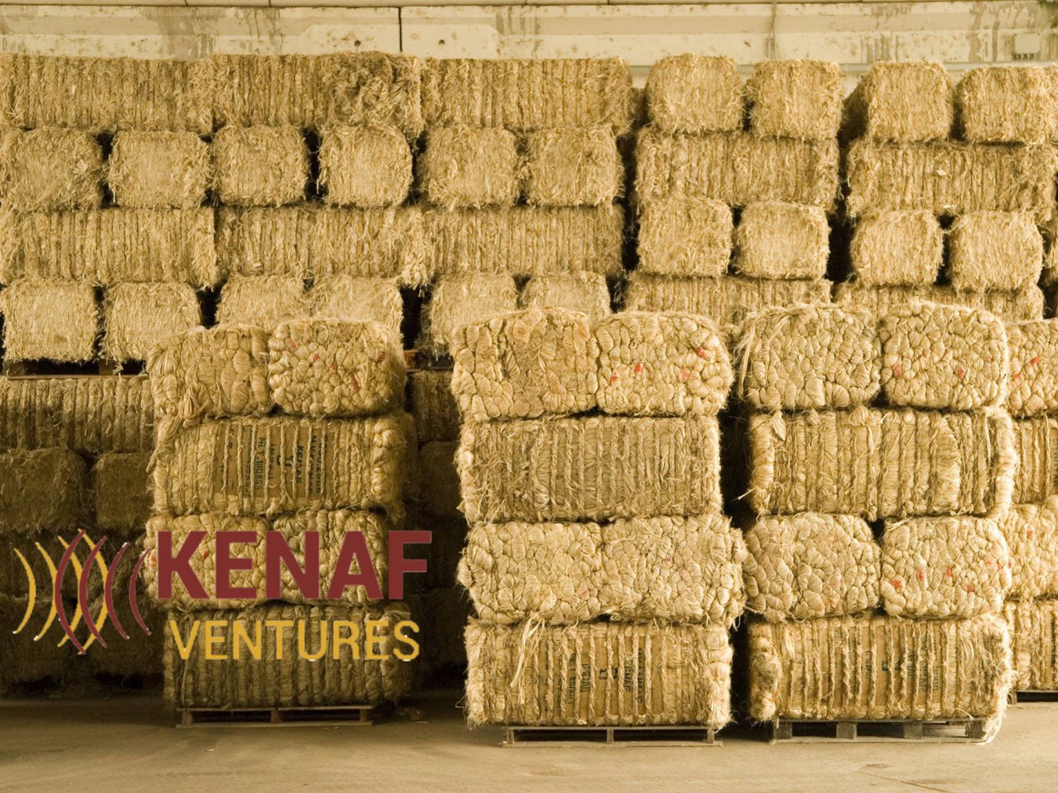 Kenaf Ventures- Growing Buildings Naturally - SDG 12- Social Impact Israel